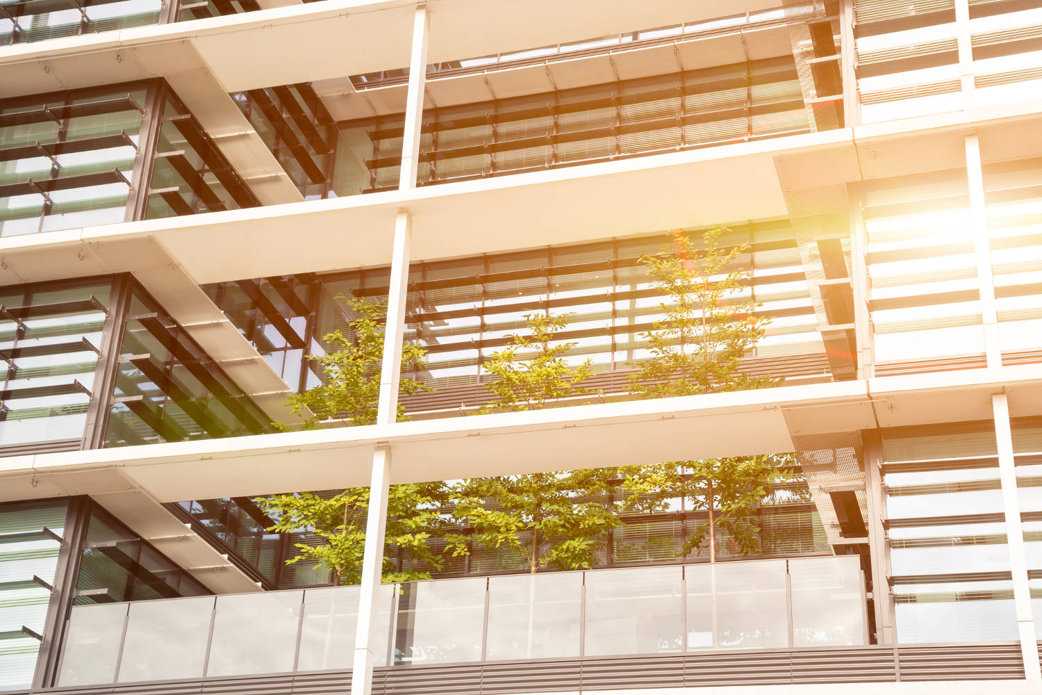 Monolithic Annealed Glass | PB Aluminium and Glass